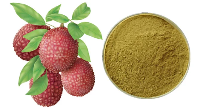 Food Grade Lychee Seed Extract 40% 50% 70% Polyphenol - Buy Lychee Seed ...