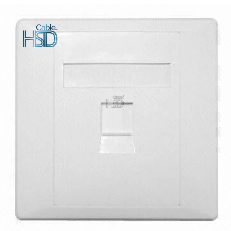 RJ45 Keystone Internet Connection - Customized Faceplate