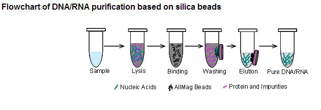 Super Paramagnetic Silica Nano Particles(-oh) - Buy Super Paramagnetic ...