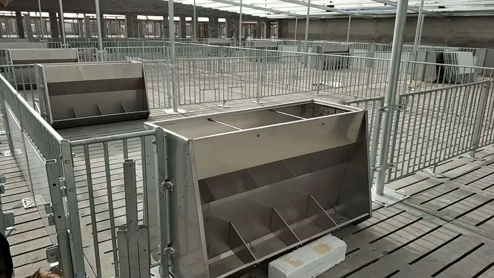 Ss 304 Double Side Pig Feeder For Nursery - Buy Ss 304 Double Side Pig ... Ss 304 Double Side Pig Feeder For Nursery - Buy Ss 304 Double Side Pig ...