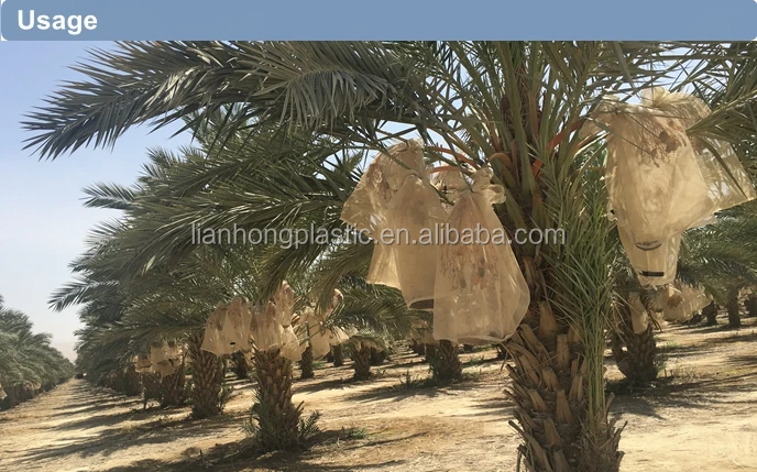 Uv Treated 100% Hdpe Fruit Protect Date Palm Net Mesh Bag - Buy Date ...