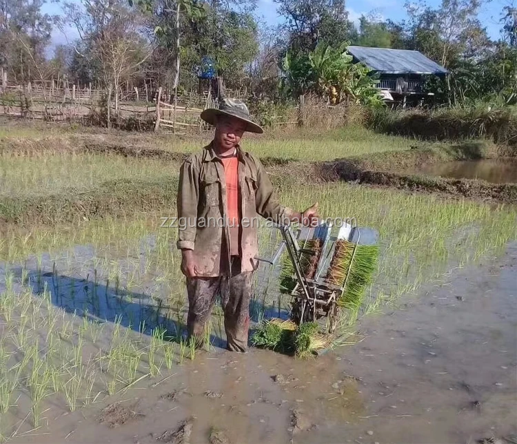 Small Farm Equipment Rice Transplanter Planting Machine - Buy Rice ...