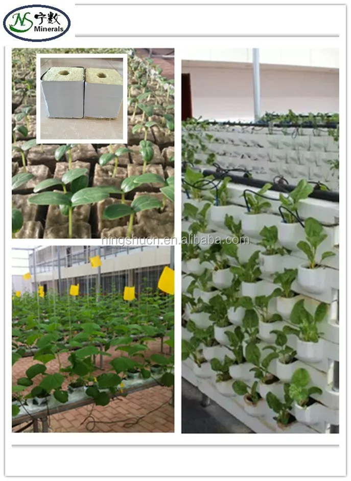 6 Inch Rockwool Cubes - Ideal Hydroponics Growing Media