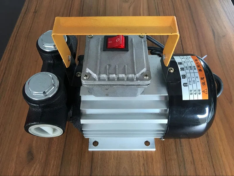Portable Electric 220v Diesel Fuel Transfer Pump Oil Pump