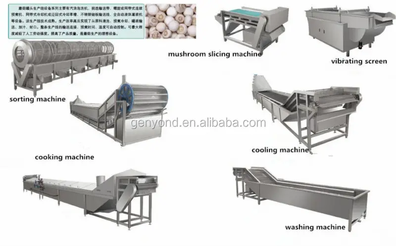 Fully Automatic Canned Mushroom Processing Plant - Buy Canned Mushroom ...