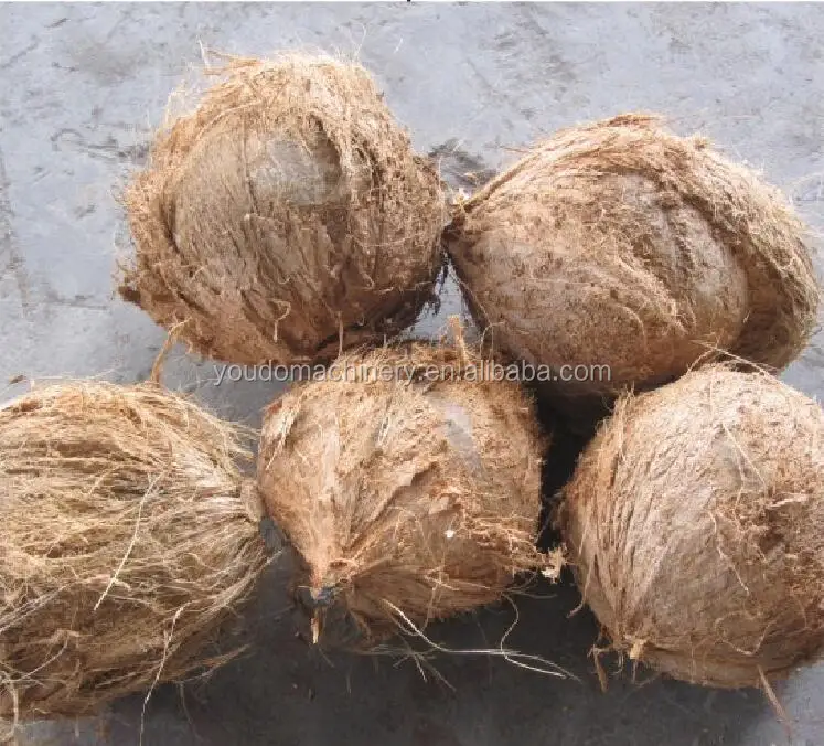 Automatic Dry Coconut Peeling Machine/old Coconut Dehusking Machine ...