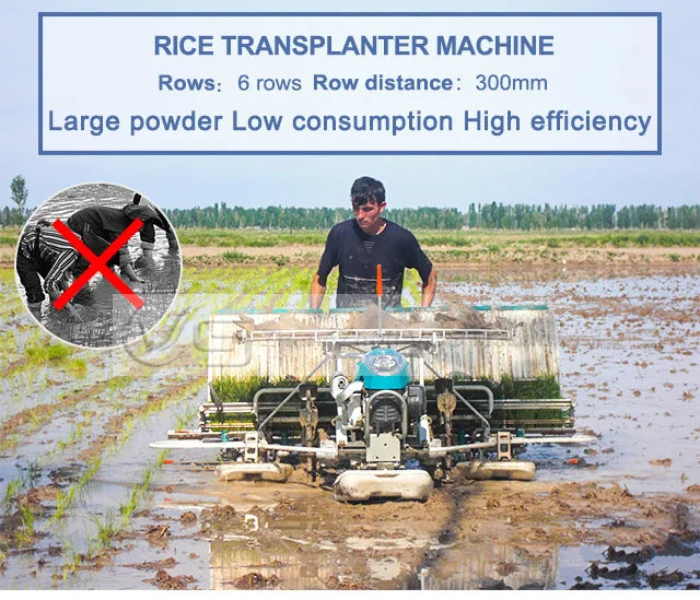 Rice Seedling Transplanter/rice Planting Machine/paddy Rice Planter ...