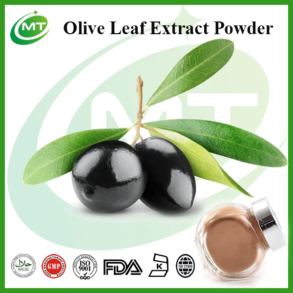 Free Sample 40% Oleuropein Powder Olive Leaf Extract Powder - Buy Olive ...