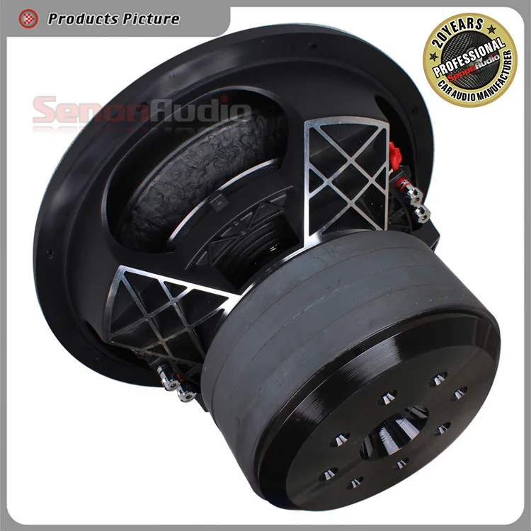Big Power Subwoofer Speakers - 12 Inch with Dual Magnet