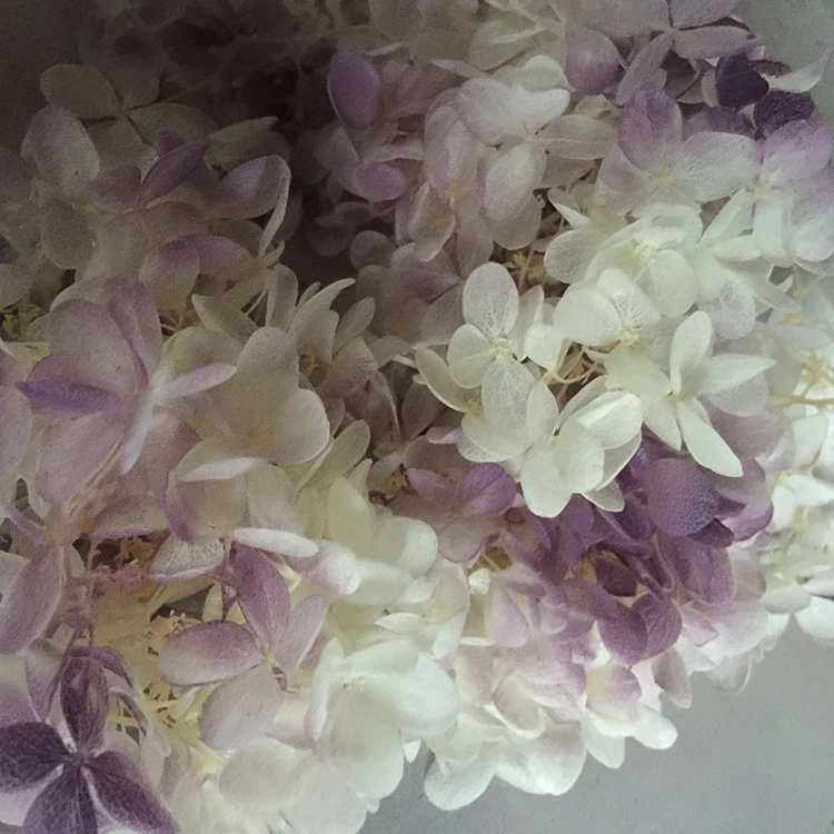 Fresh Real Touch Immortal Hydrangeas Preserved Hydrangea For Wedding ...