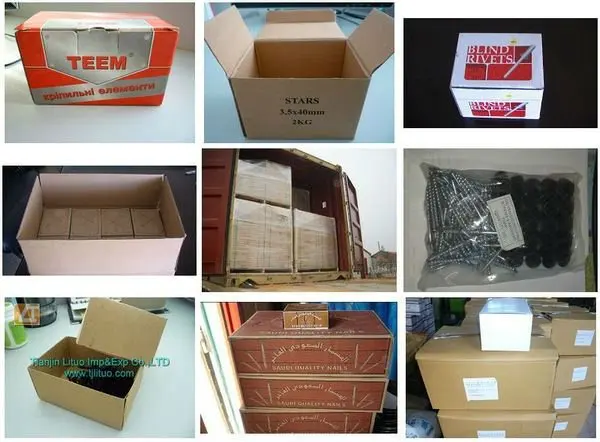 Steel Stainless Steel Din7981 Iso 7049 Cross Recessed Phil Pan Head ...