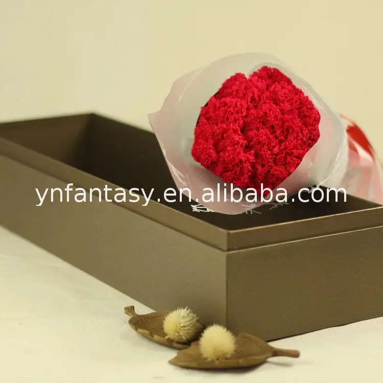 Dried Carnations Flowers Preserved Alibaba Online - Buy Carnations ...