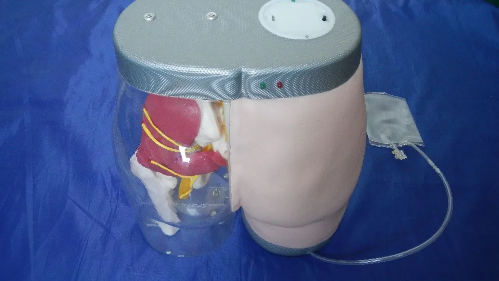 Advanced Nursing Training Intramuscular Injection Buttock Model ...