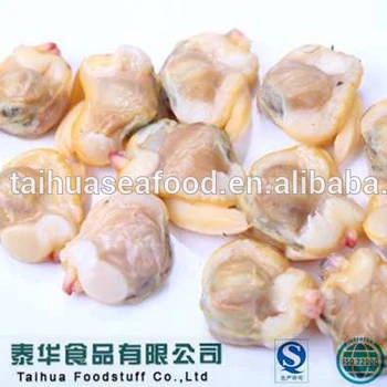 Best Selling Products Frozen White Clam Meat In Shellfish - Buy Frozen ...