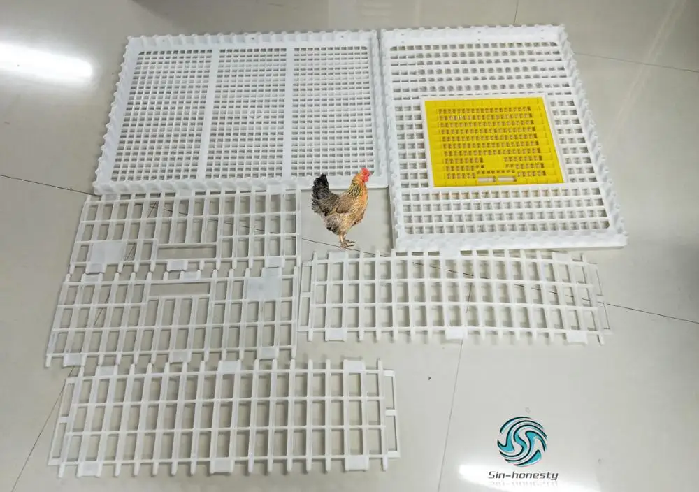 Durable Plastic Chicken Shipping Boxes - Reliable Transport
