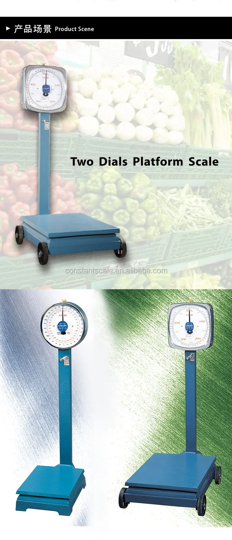 Camry Fd-150kg Range 50kg/100kg/150kg Single Or Double Dials Iron ...