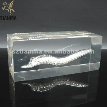 Lucite Acrylic Animal Paperweight Insect Embedded Factory In China ...