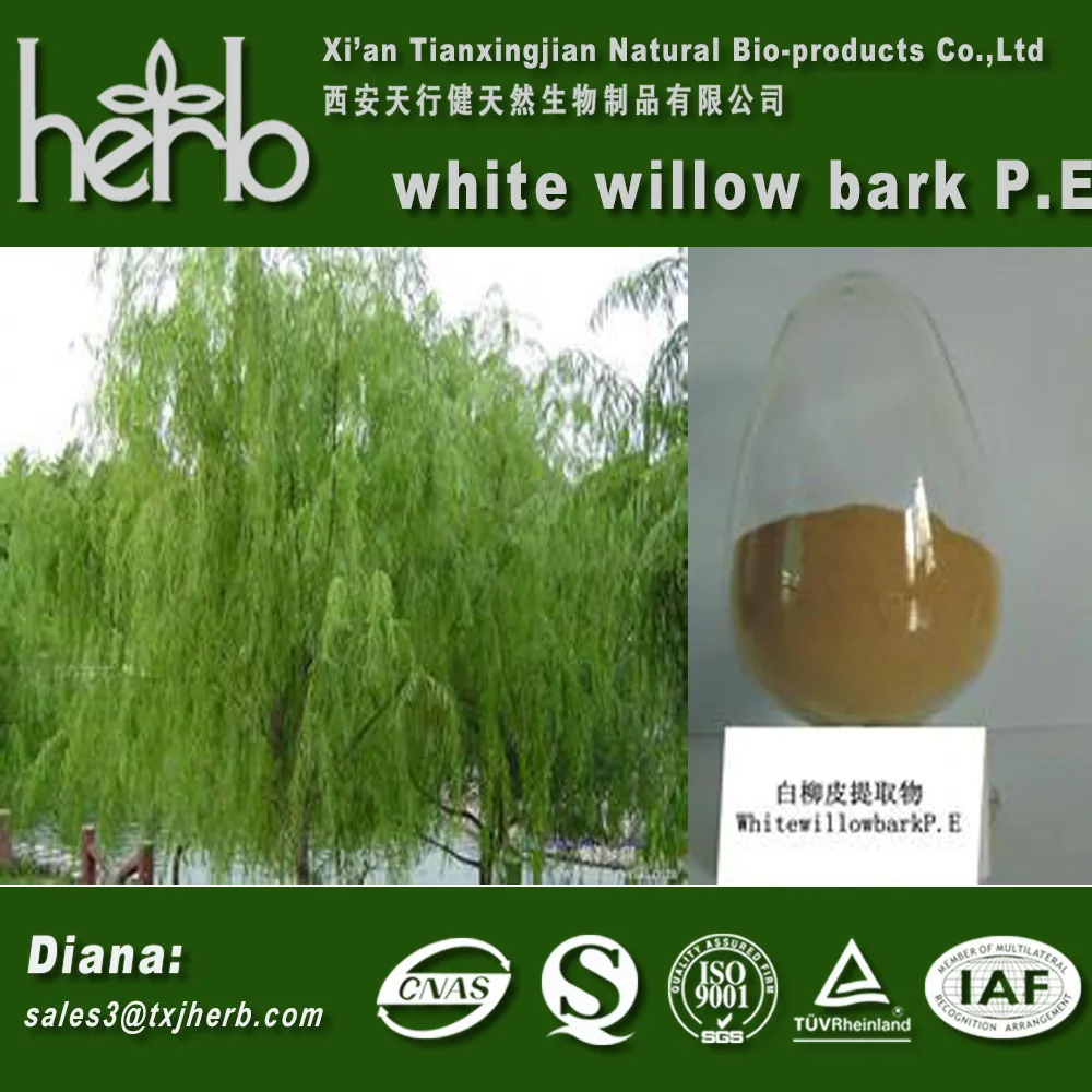 Natural White Willow Bark Extract Salicin - Buy Salicin Product on ...
