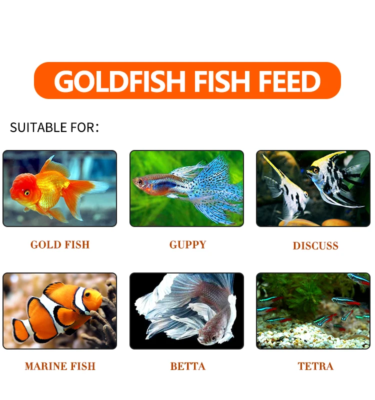 Goldfish Food Pellet Aquarium Fish Food - Buy Floating Pellet Food For ...