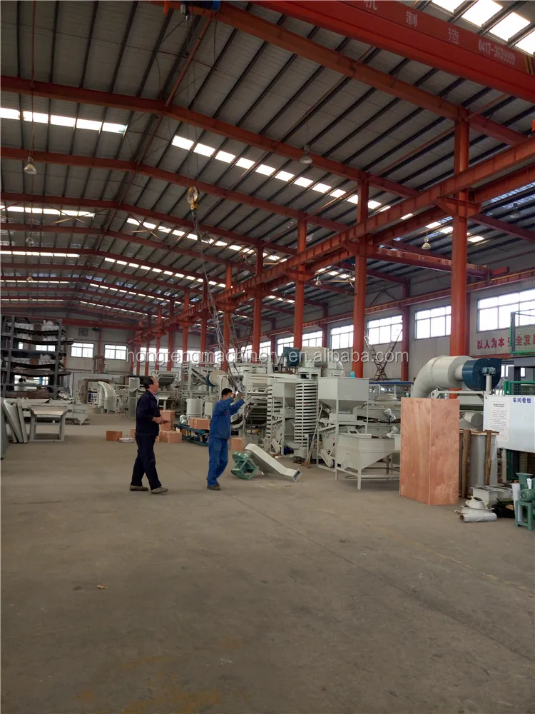 Pine Nut Shelling Machine Chilgoza Nut Shelling Machine - Buy Pine Nut ...