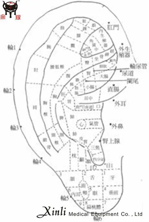 Traditional Chinese Therapy Acupuncture Ear Probe Acupuncture Massage ...