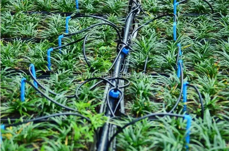 Drip Irrigation Arrow Dripper - Efficient Watering Solutions