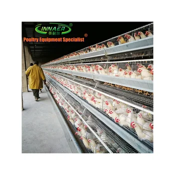 Poultry Heaters Equipment - Buy Chicken Cage Design,Layer Commercial ...