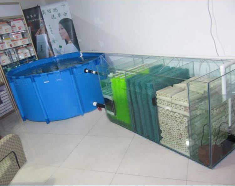 Ras Fish Tank - Buy Fish Tank Aquarium,Fish Tank,Fish Farming Tank ...