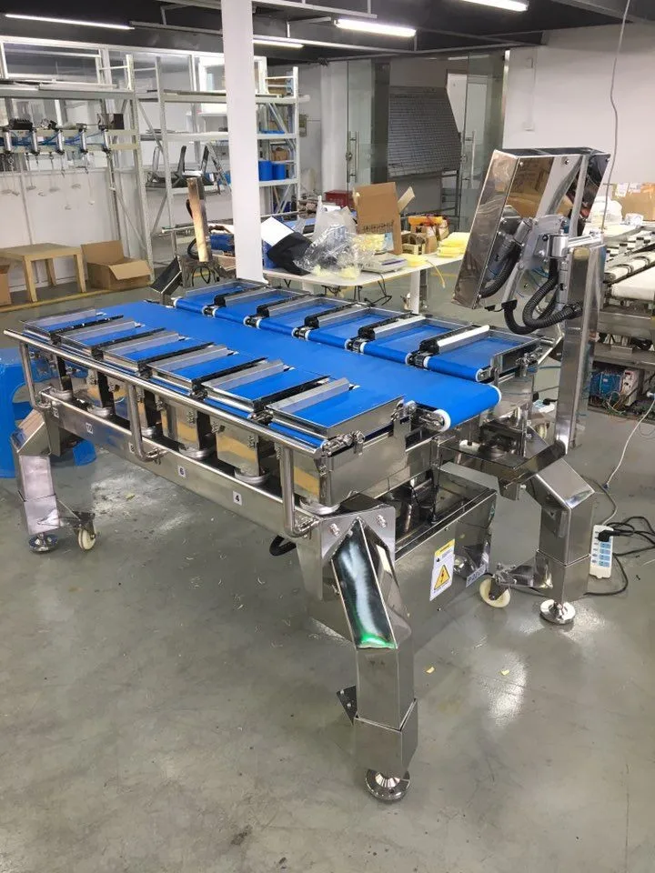 Rehoo Semi-automatic Platform Type Weigher Twsc-16 - Buy Belt ...