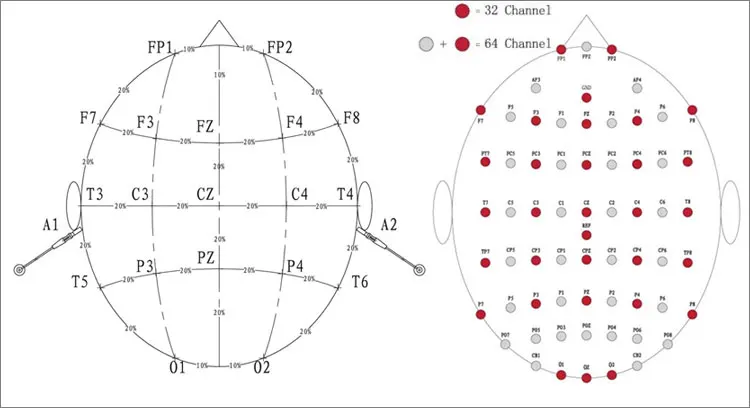EGC010 20 32 and 64 channel EEG electrode cap neurofeedback sensor caps ...