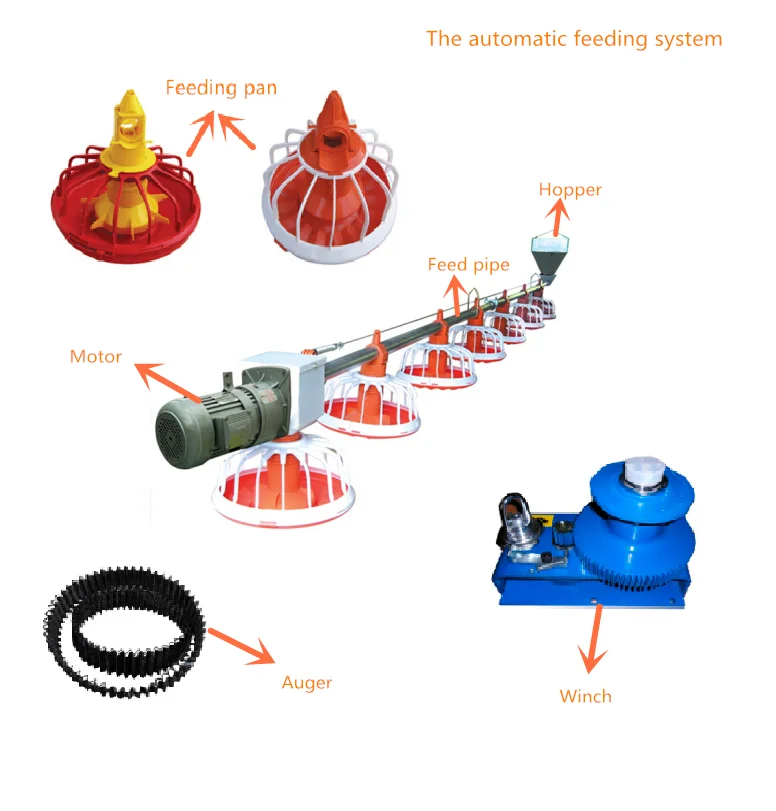Automatic Poultry Farming Pan Feeding System For Broiler And Breeder ...