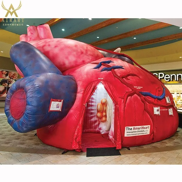 Lifelike Inflatable Heart Body For Exhibition - Buy Inflatable Body ...
