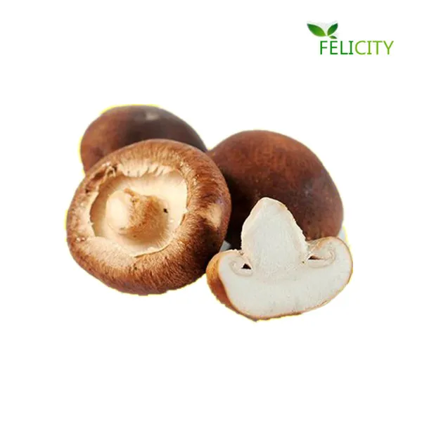 Shitake Mushroom Extract Lentinan Powder - Buy Shitake Mushroom Extract ...