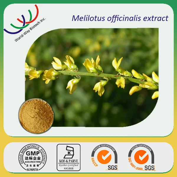 Good Quality Sweet Clover Extract Coumarin Cas No.84082-81-5 Melilotus ...