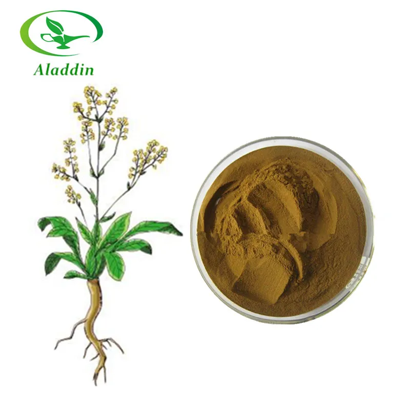 100% Natural Organic Medicine Radix Isatidis Extract Powder - Buy Radix ...