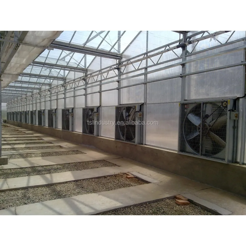 Ali Industrial Ventilation Axial Flow Fan Exhaust Fan For Factory And ...