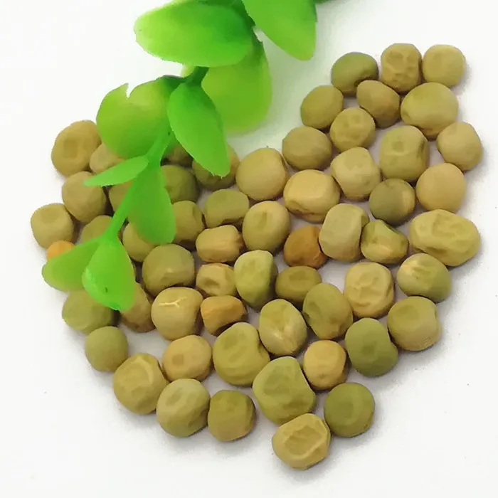 High Quality Competitive Price Pisum Sativum,Peas Bean Seeds For ...