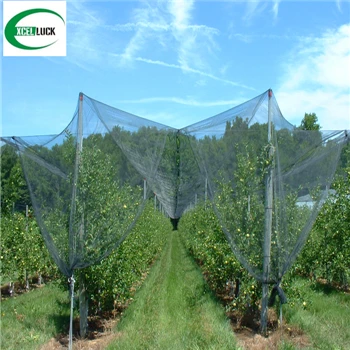 Plastic Anti Hail Netting/anti Hail Net For Plants Protecting/apple ...