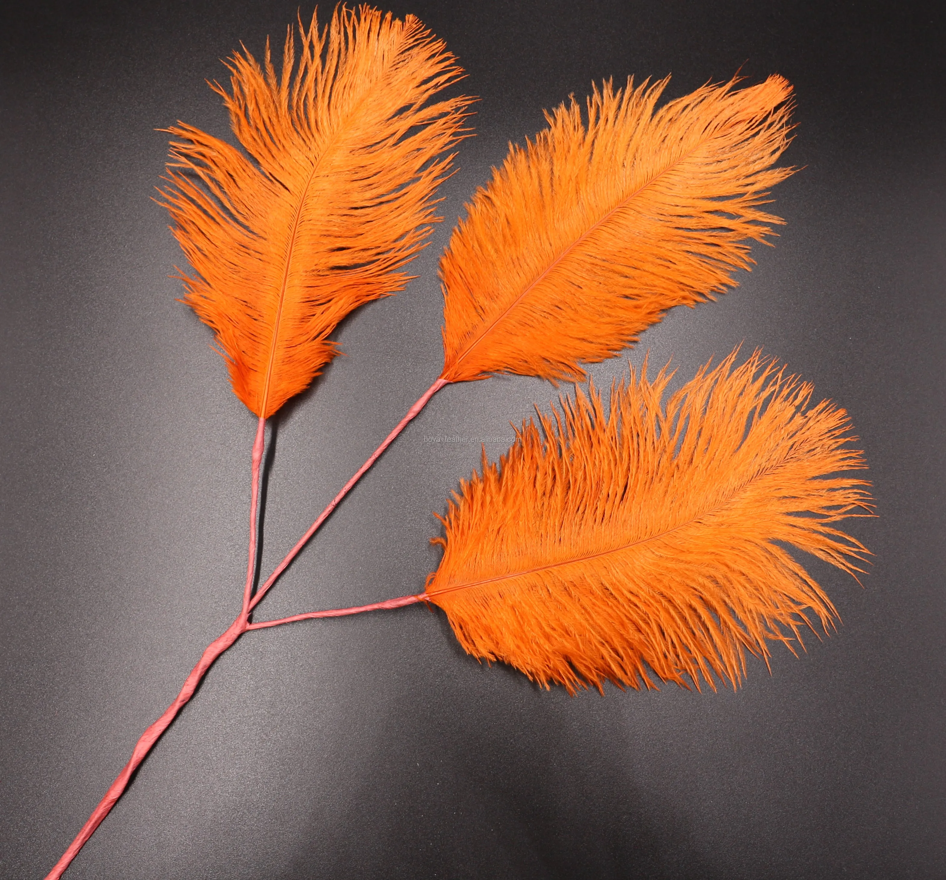 Ostrich Feather Flower Mount Ostrich Feather Tree - Buy Ostrich Plumes ...