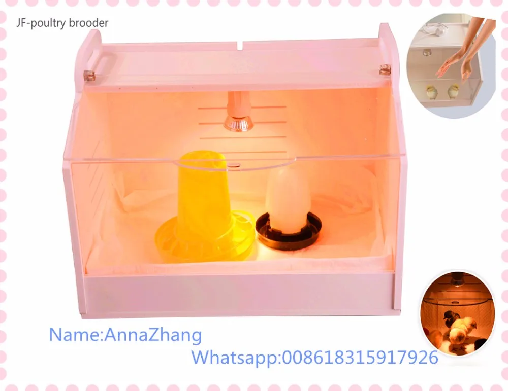 Poultry Equipment Chicken Brooder For Sale - Buy Chick Brooder For Sale ...