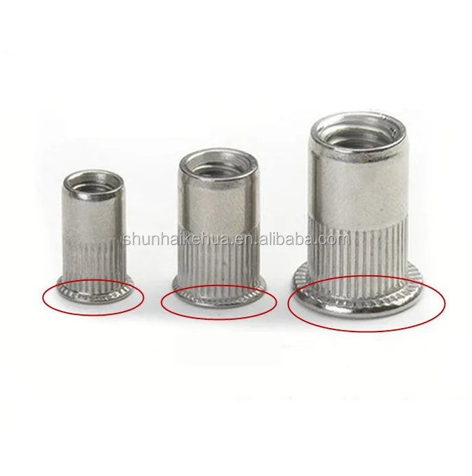 Sus 304 Stainless Steel M4 M6 M8 M10 M12 Flat Head Long Grip Rivet Nut ...