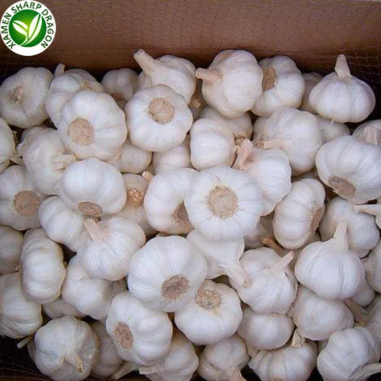 Fda Certification Wholesale Cheap Bulk Frozen Fresh Peeled White Garlic ...