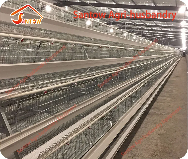 Commercial Poultry Farm Use Design Layer Chicken Cages For Breeding ...