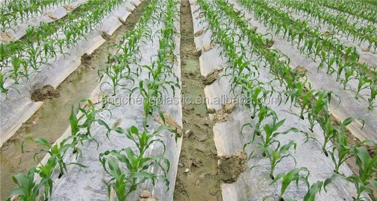Uv Resistance Virgin Ldpe Mulching Film For Agriculture,Clear Plastic ...