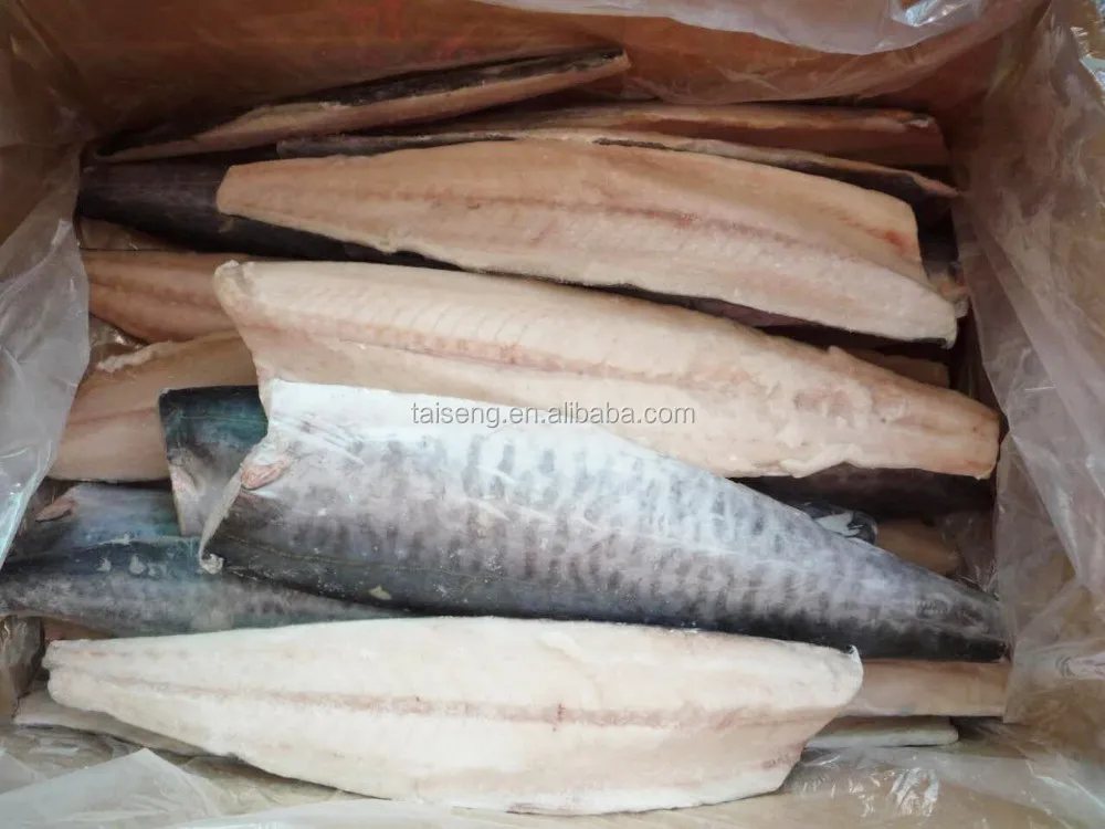 FROZEN KINGFISH SPANISH MACKEREL - Nutritious & Organic