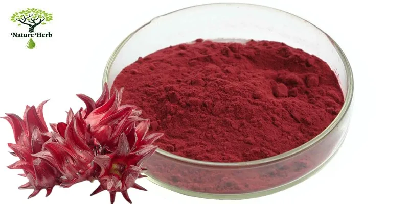 100% Natural Rose Eggplant Roselle Extract Powder - Buy Roselle Extract ...
