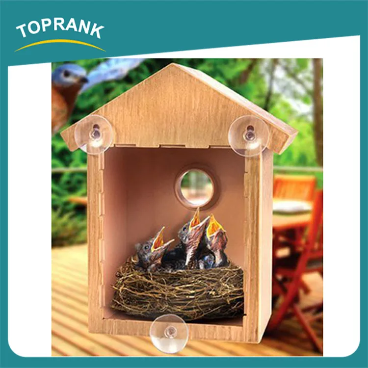 Toprank Window Mount Nest View Bird House Secret Bird House With ...