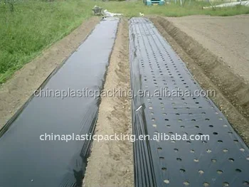 Pe Black Plastic Agricultural Mulch Polyethylene Film - Buy Mulch Film ...