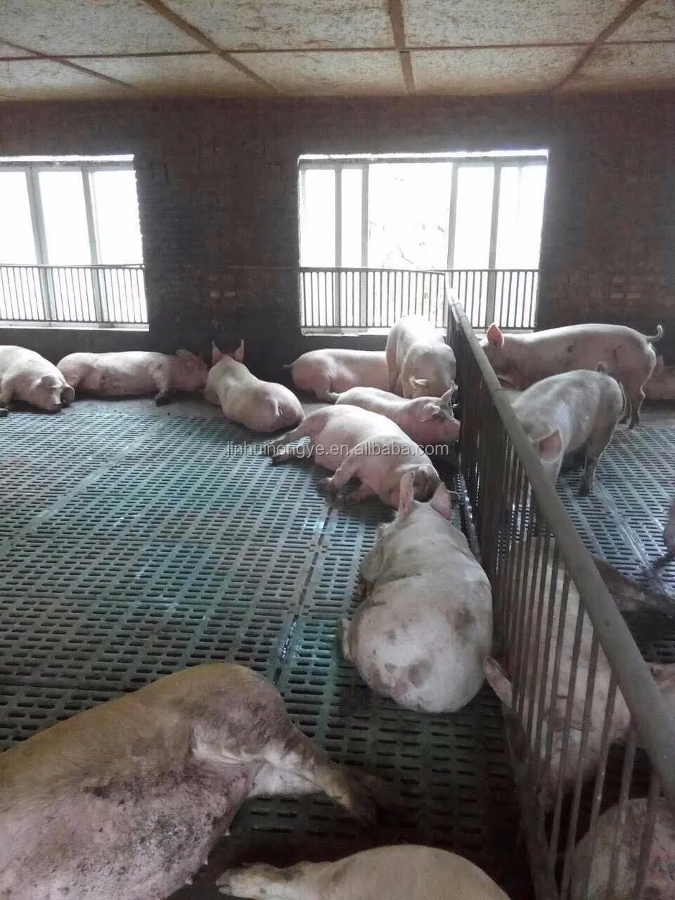 Pig farm high bearing capacity BMC floors Plastic slatted floors