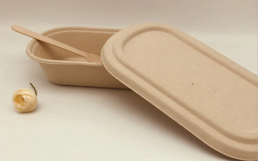 Eco Friendly Compostable 1000ml Food Box - Sugar Cane Fiber